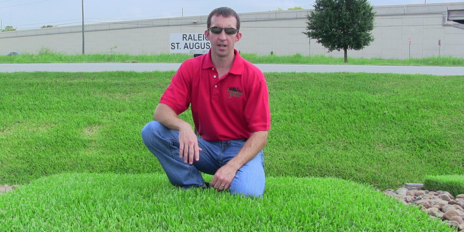 Best Fertilizer For St Augustine Grass Katy Houston Pearland