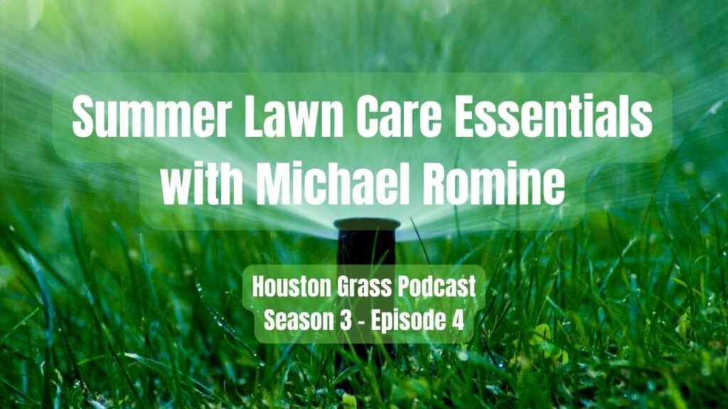 Blog Houston Grass Sod Pearland Sugar Land TX